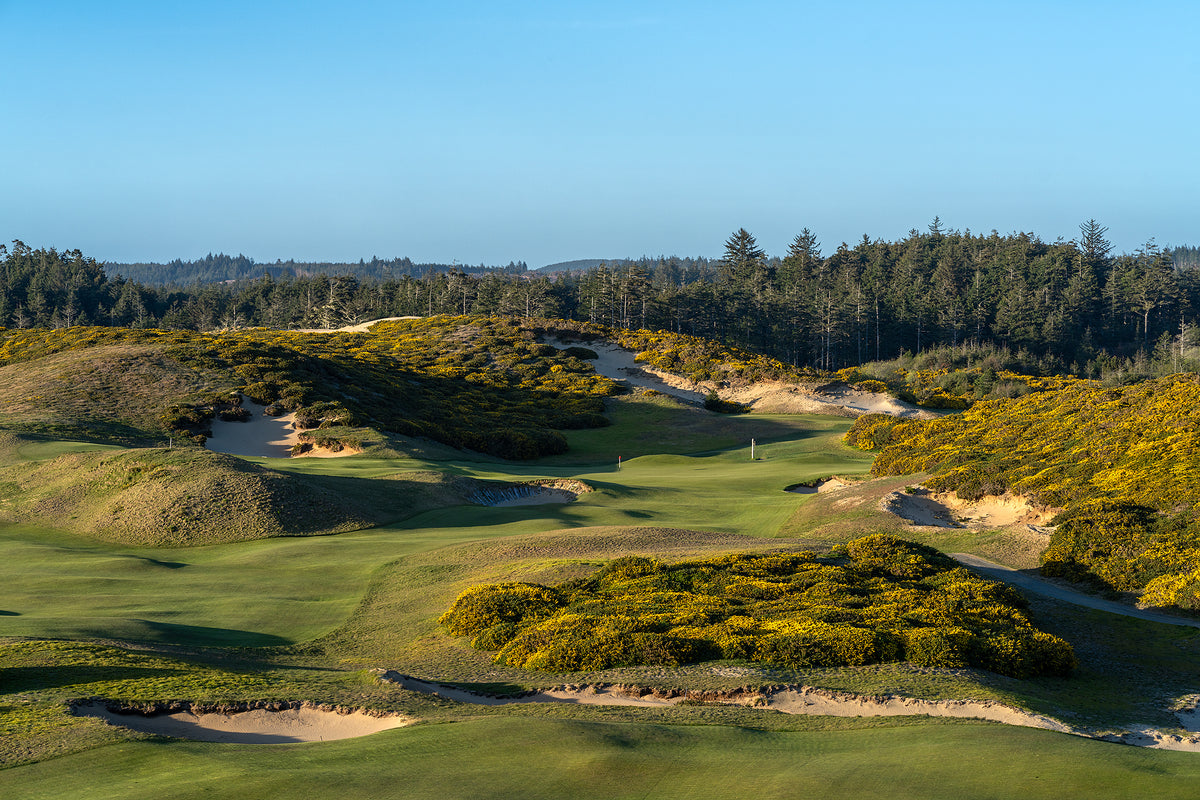 16th Hole, Old Macdonald – Evan Schiller Photography
