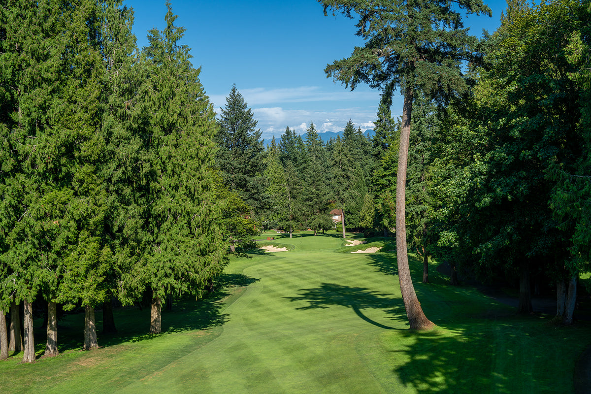 5th Hole, Sahalee Country Club - East Course – Evan Schiller Photography