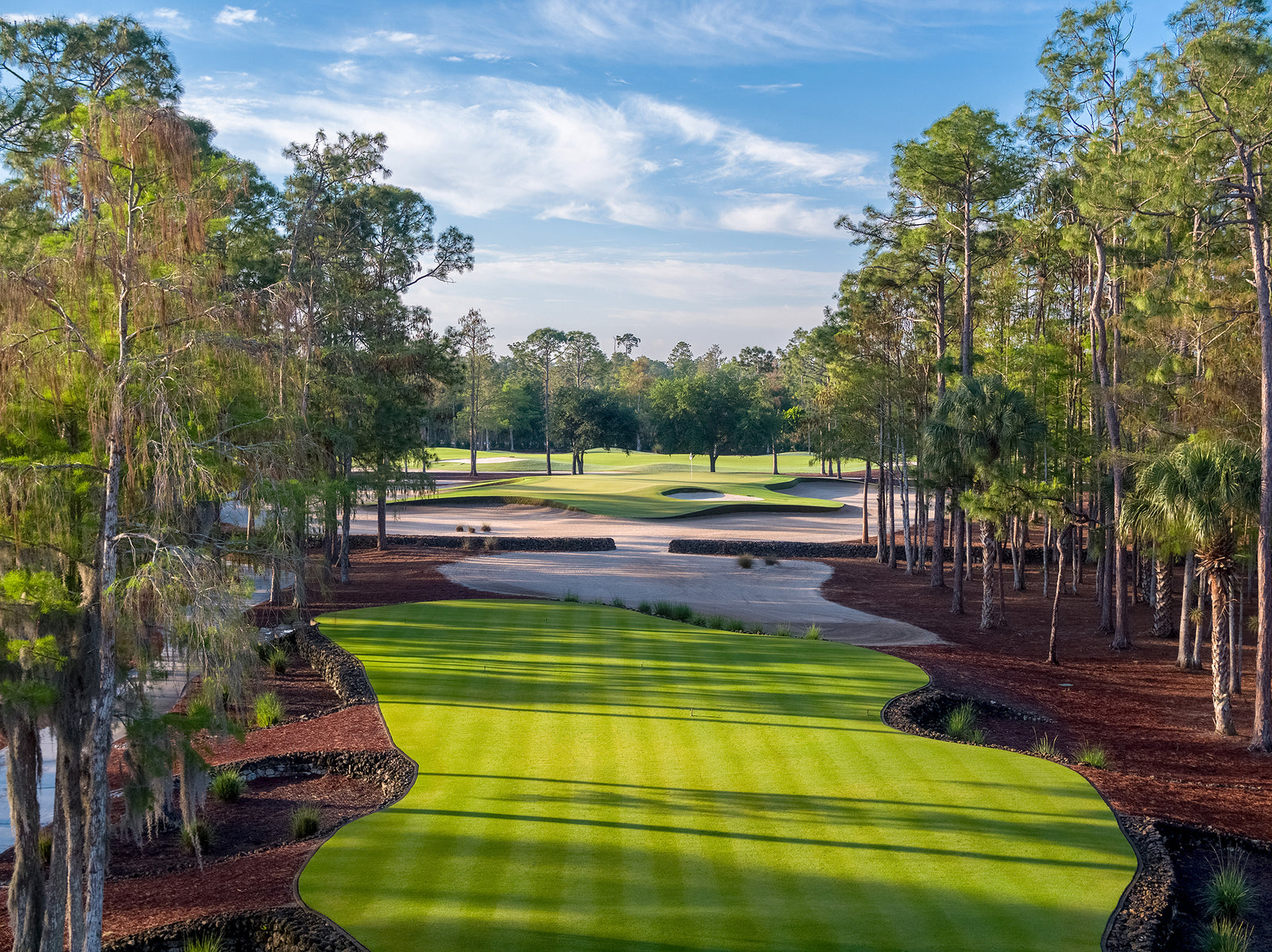 Featured Gallery – Evan Schiller Photography