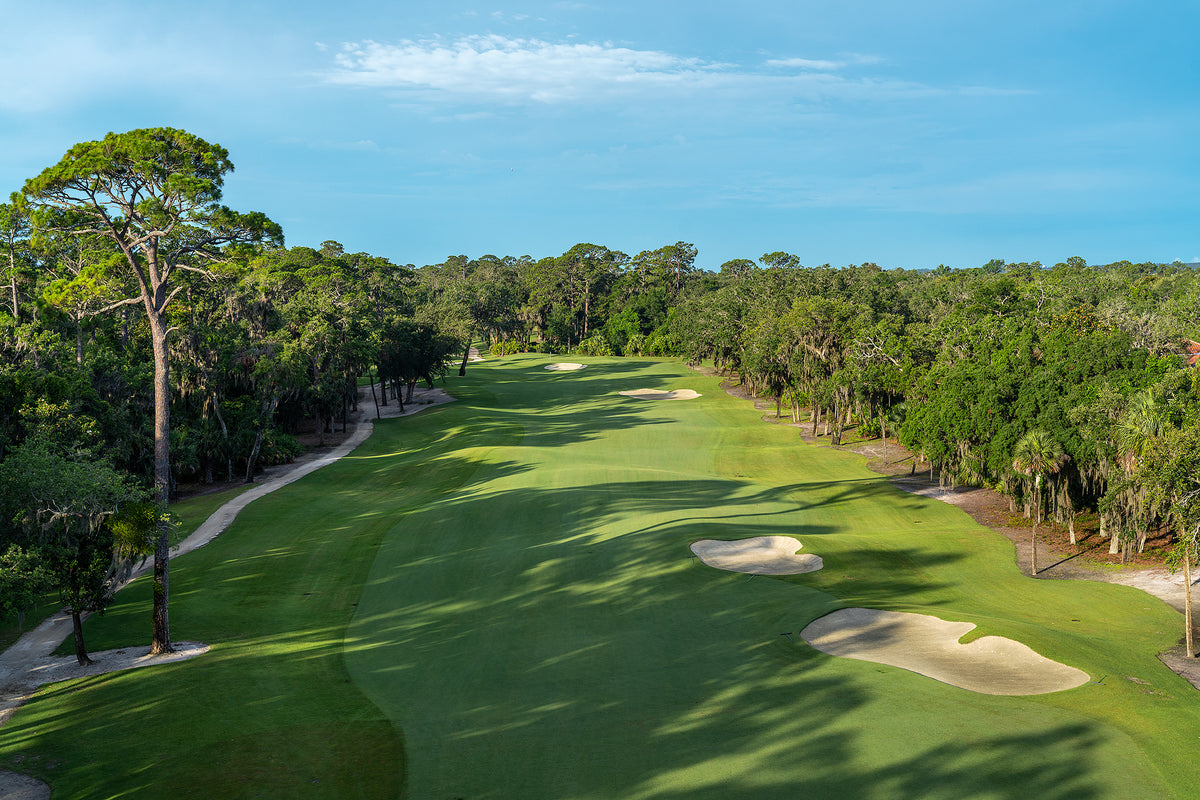 6th Holes, Ocean Forest Golf Club – Evan Schiller Photography