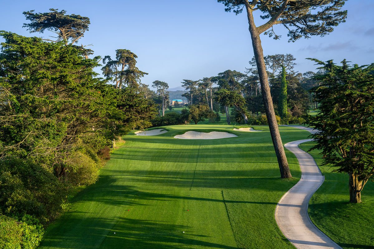 15th Hole, The Olympic Club - Lake Course – Evan Schiller Photography