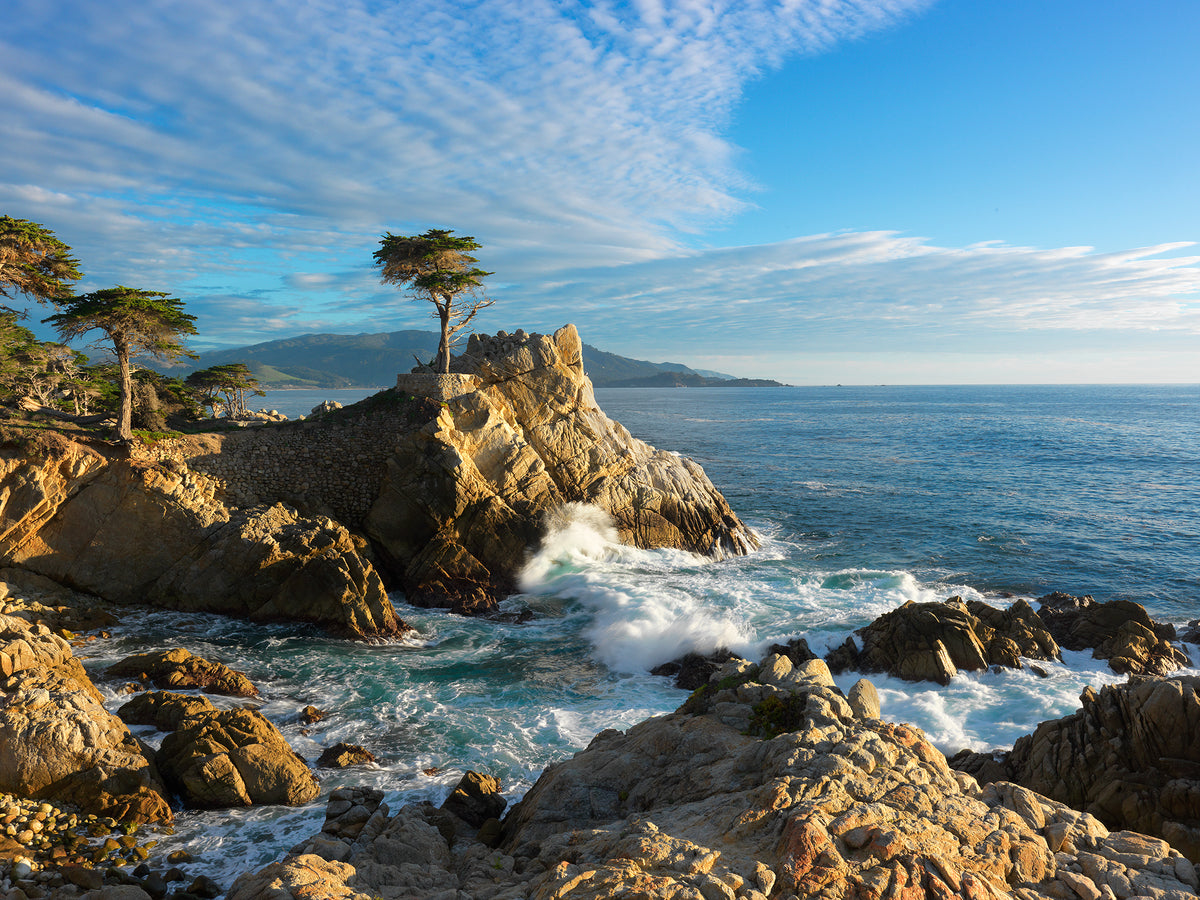 The Lone Cypress – Evan Schiller Photography