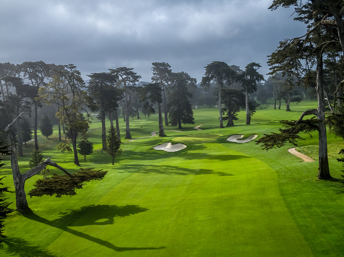 5th Hole, The Olympic Club - Lake Course – Evan Schiller Photography